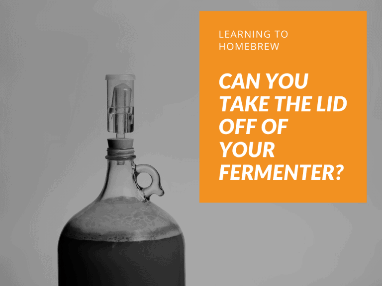 7 Reasons Why Your Homebrew Is Not Fermenting (And What To Do!)