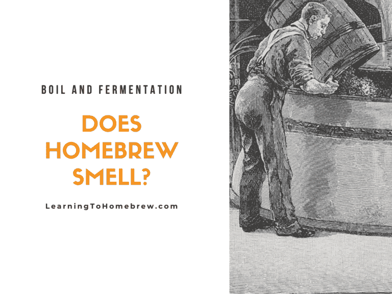 7 Reasons Why Your Homebrew Is Not Fermenting (And What To Do!)