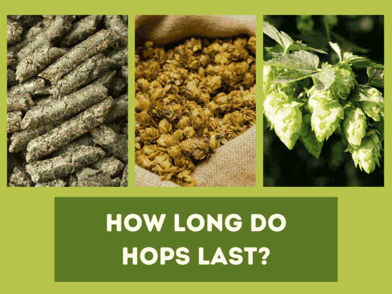What To Do With Hops Besides Making Beer? (9 Fun Alternatives!)