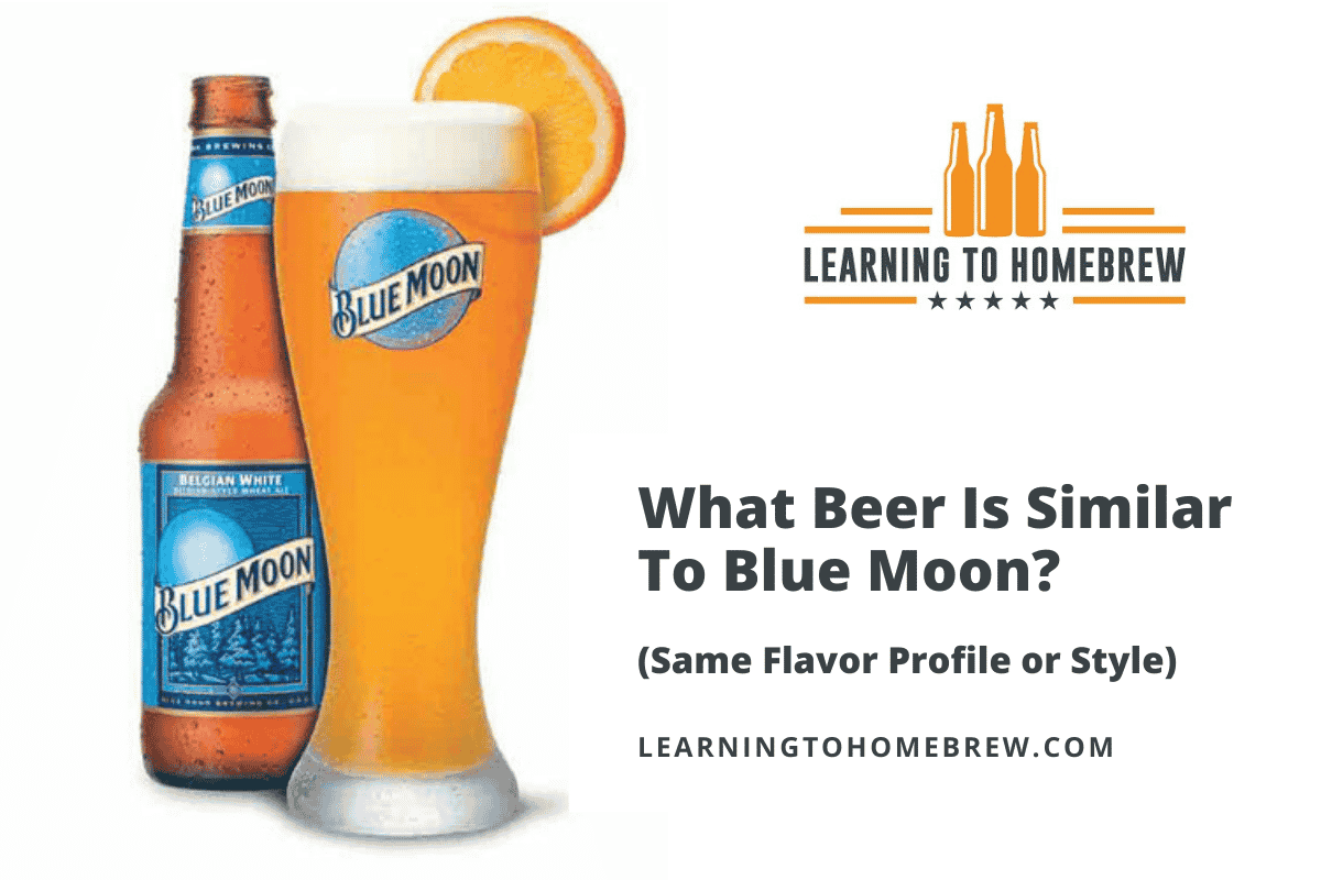What Beer Is Similar To Blue Moon? (Same Flavor Profile or Style)