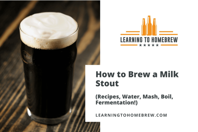 Homebrew Beer Recipes (Brew Any Style!) All-Grain & Extract