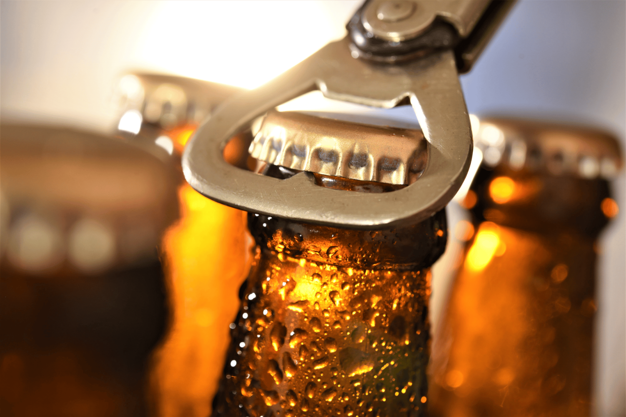 How to Brew a German Pilsner (Recipe & Comprehensive Style Guide!)