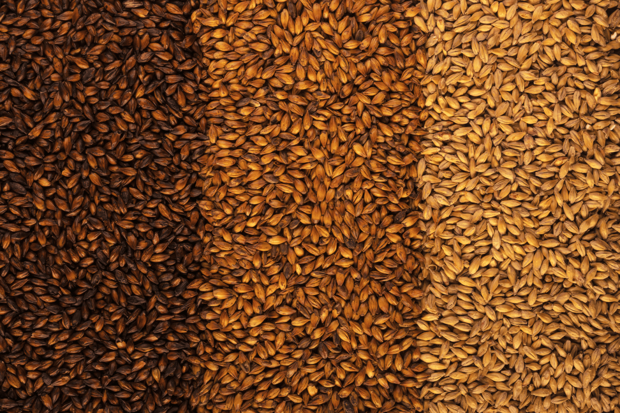 How To Brew an Imperial Stout (3 Recipes & Complete Style Guide!)