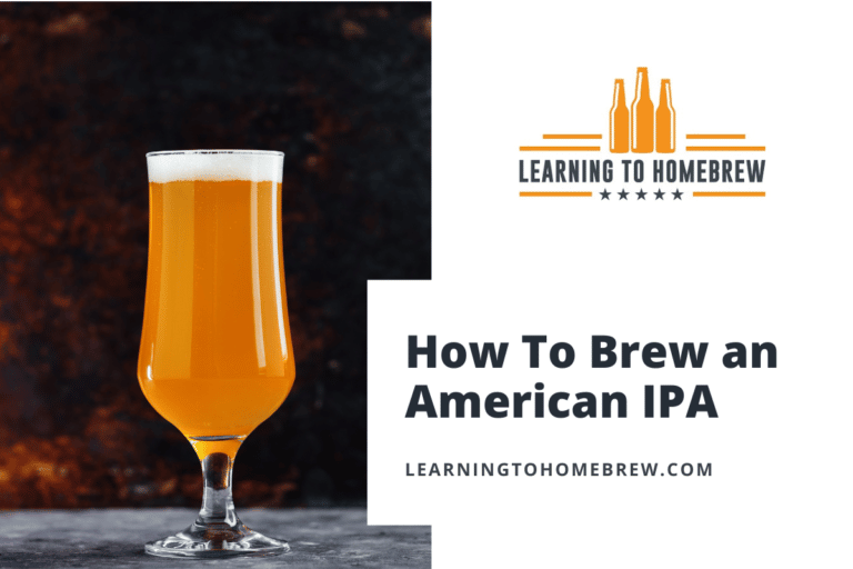 Homebrew Beer Recipes (Brew Any Style!) All-Grain & Extract